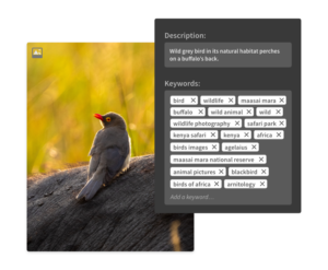 DeepVA: Deep Indexer
